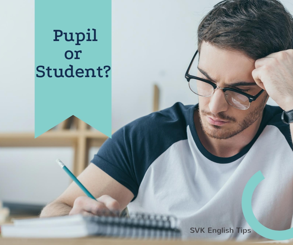 Pupil or student? - SVK
